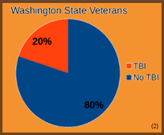 Software for TBI